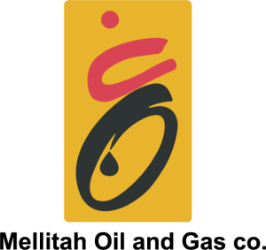 Libya Tech Forum 2024 | Hilton Istanbul Bomonti Cybersecurity